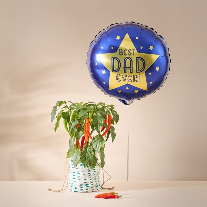 Father's Day Chilli Plant in Green Dotty Bag with Balloon | Moonpig
