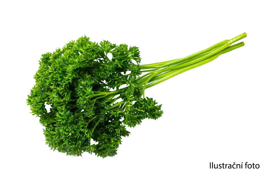 Petržel kudrnka svazek, 100g | BILLA e-shop