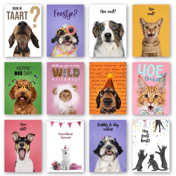 Blond Amsterdam | Verjaardag kaartenset | 10 wenskaarten inclusief ...