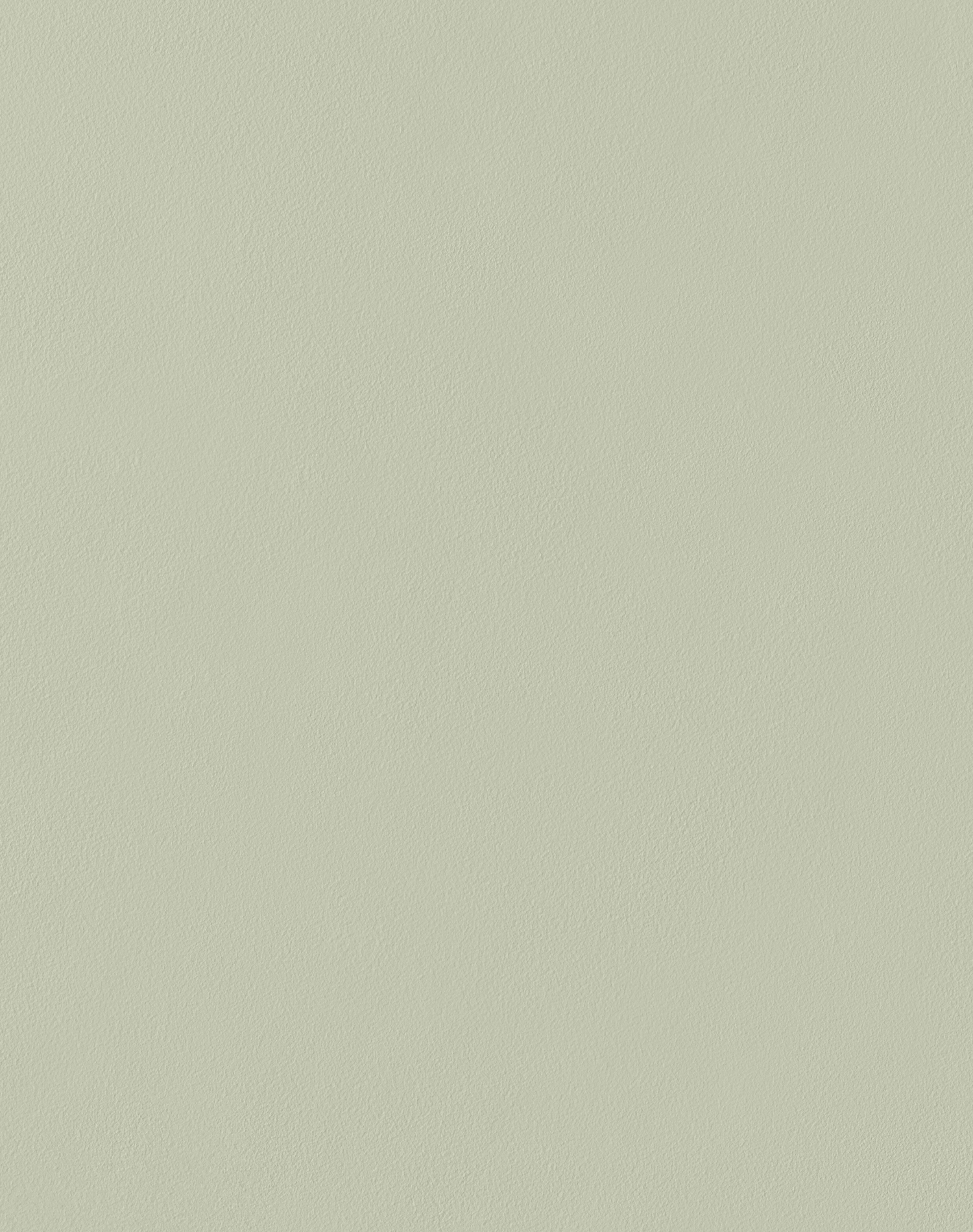 Matt Paint Muted Mint