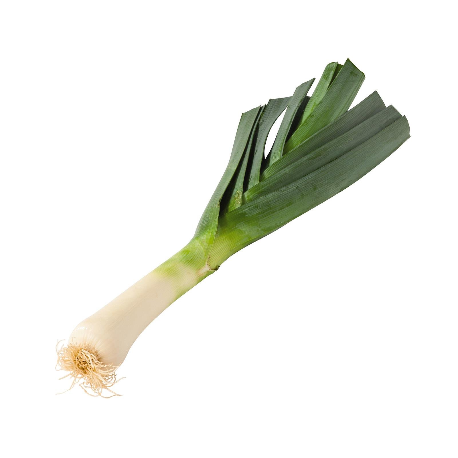 Da komm ich her! Lauch | BILLA Online Shop