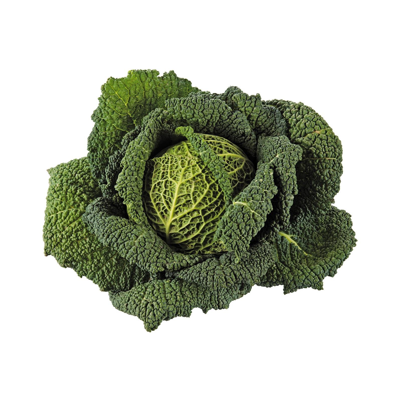 Kohl | BILLA Online Shop