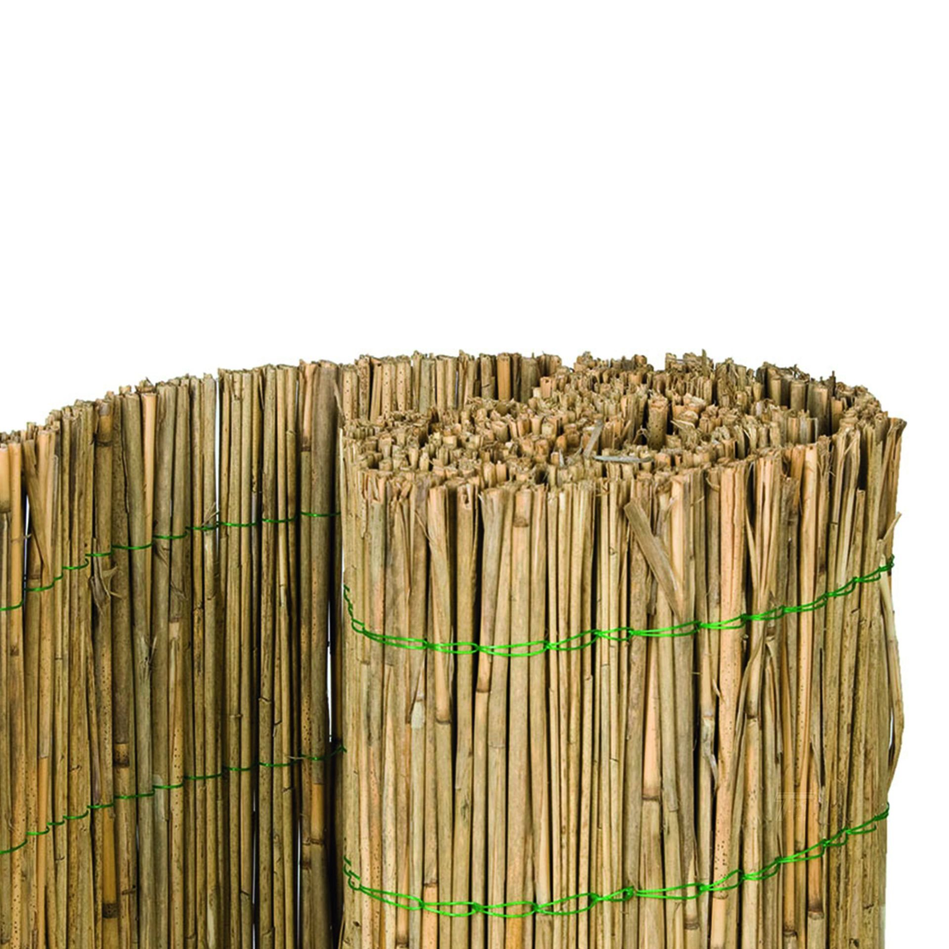 Acheter Brise-vue naturel roseau 200 x 150 cm ? | Panneaux de clôture ...