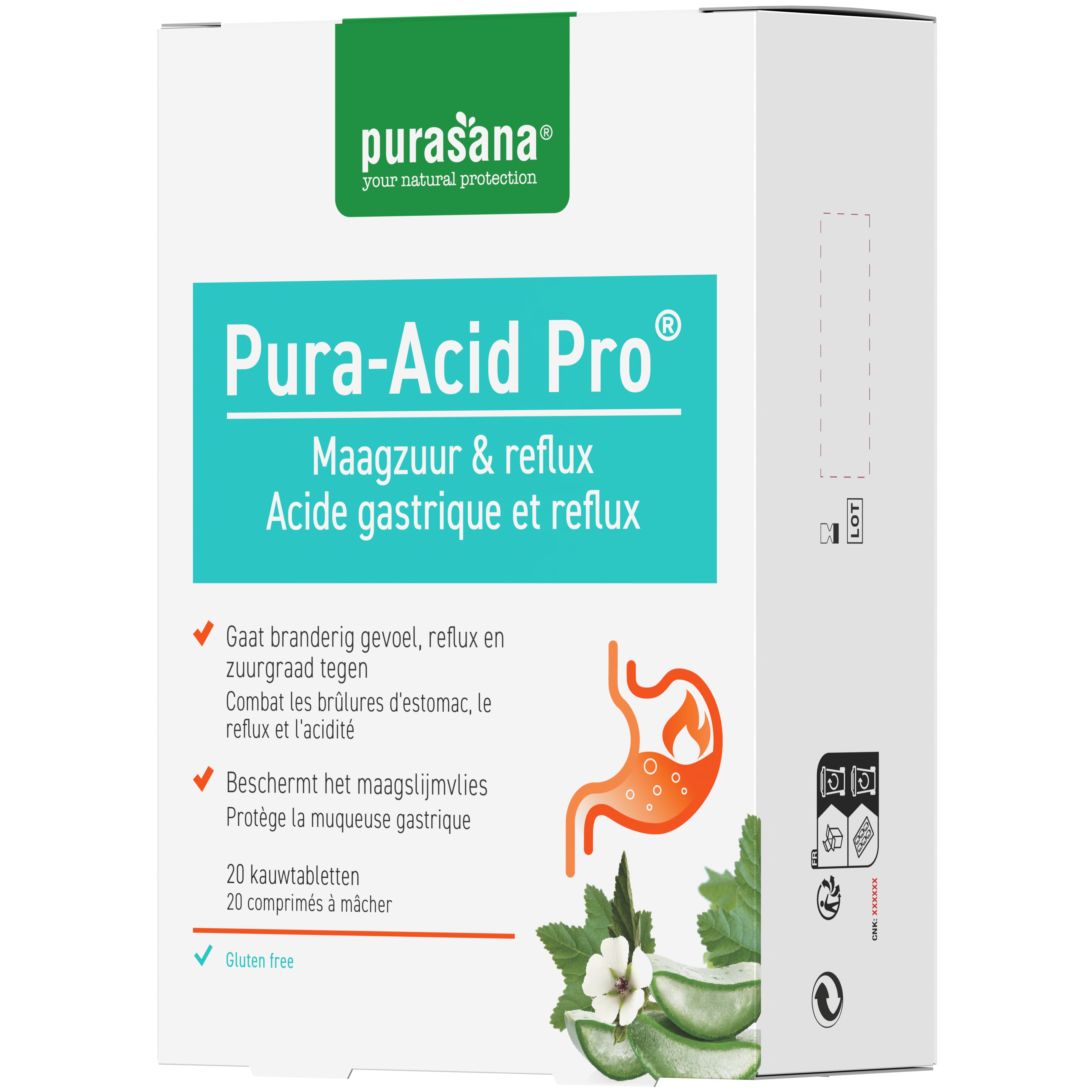 Pura-Acid Pro comprimés à mâcher | Complexe anti-reflux