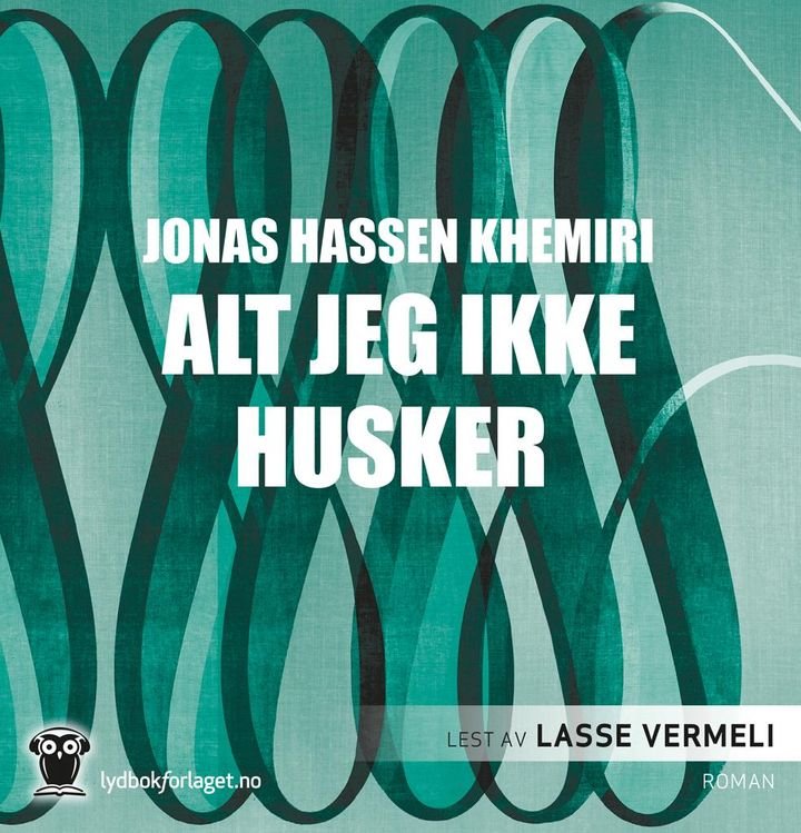 Alt Jeg Ikke Husker Ark Bokhandel
