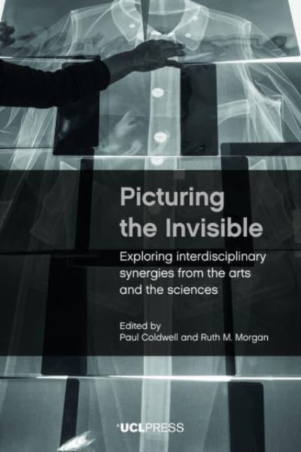 Picturing the Invisible | Ark.no