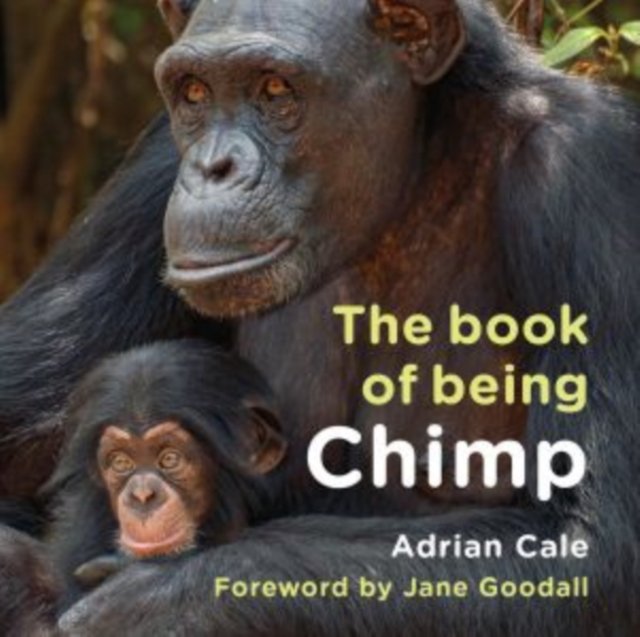 The Book of Being Chimp | Adrian Cale | Ark.no