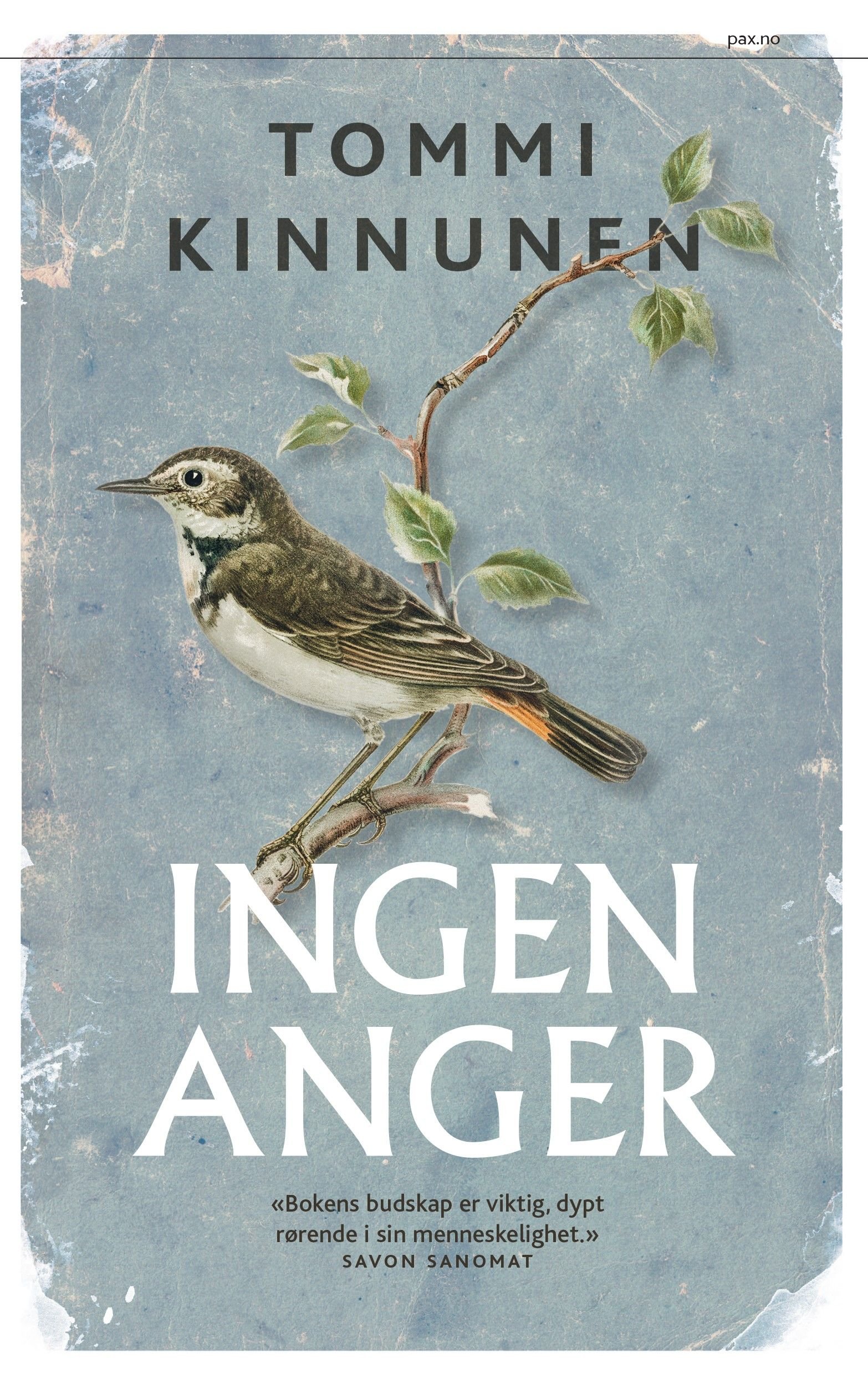 Ingen anger | Tommi Kinnunen | Ark.no