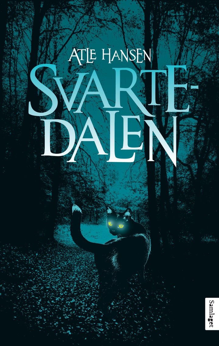 Svartedalen | Atle Hansen | Ark.no