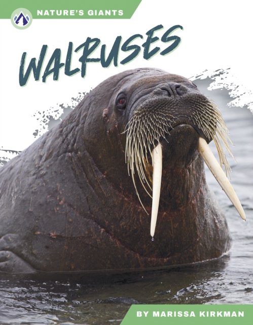 Walruses | ARK Bokhandel