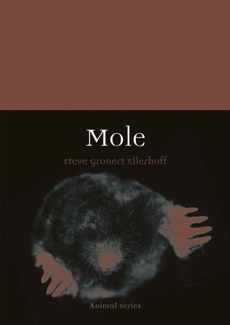 Mole | Steve Gronert Ellerhoff | Ark.no