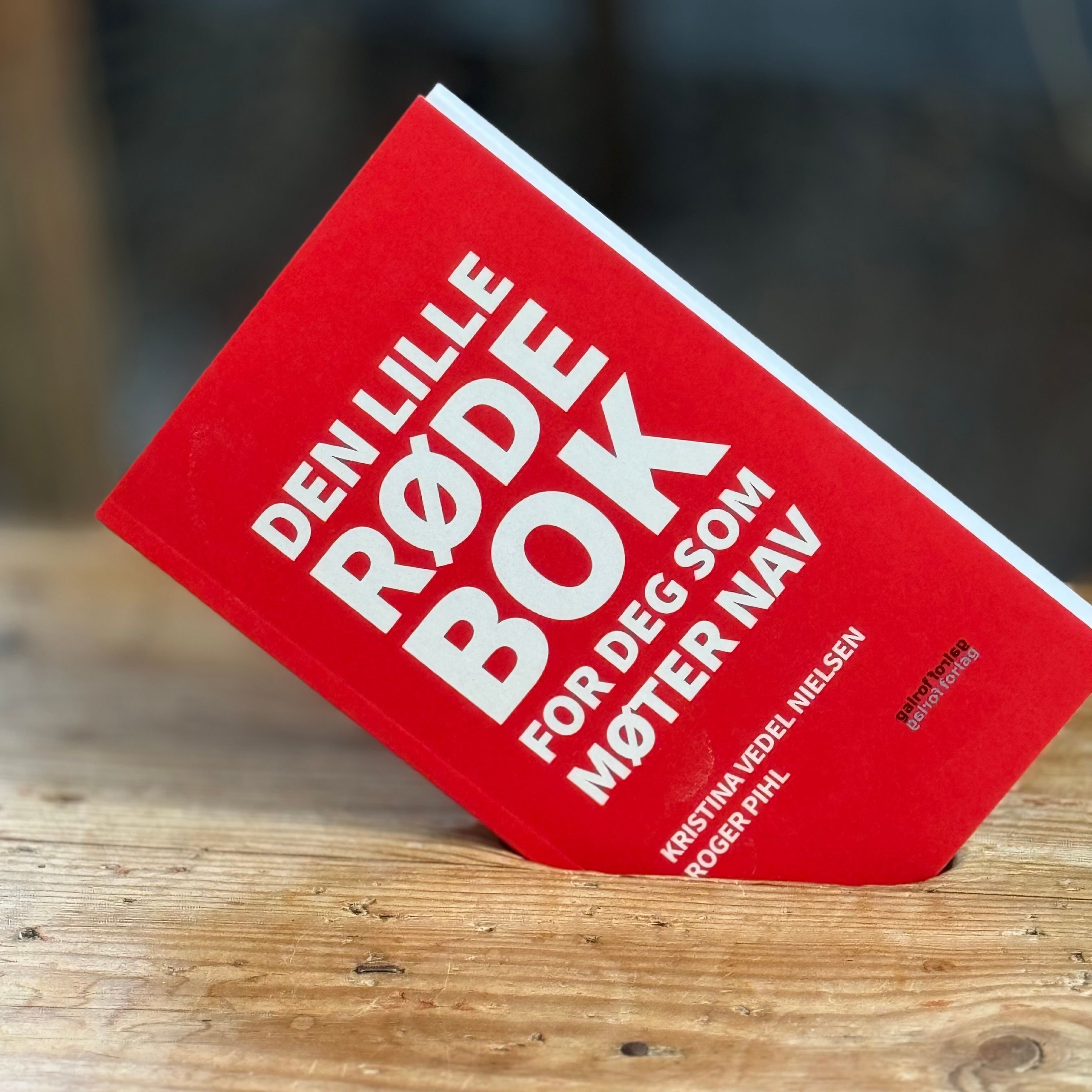 Den lille røde bok for deg som møter NAV | Kristina Vedel Nielsen | Ar