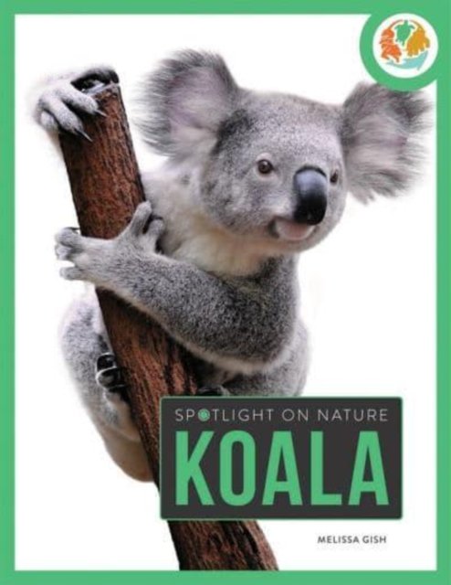 Spotlight on Nature: Koala | Melissa Gah | Ark.no