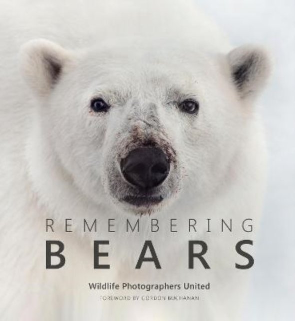 Remembering Bears | ARK Bokhandel