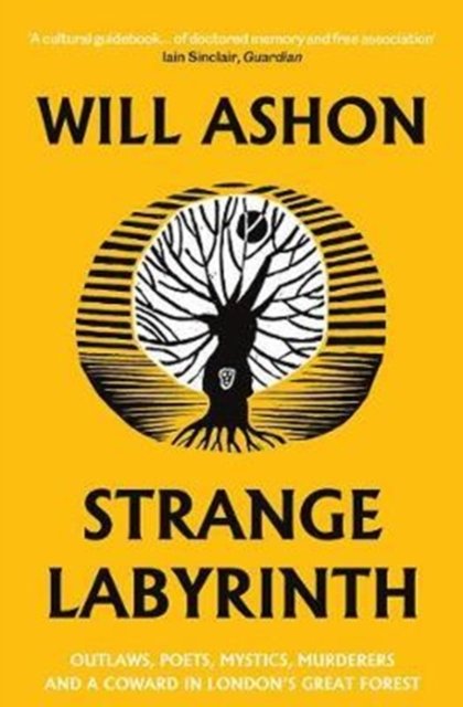 Strange Labyrinth - Outlaws, Poets, Mystics, Murderers and a Coward in ...