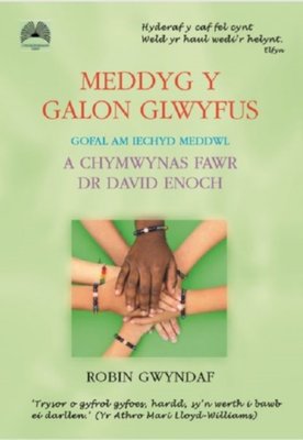 Meddyg y Galon Glwyfus - Gofal am Iechyd Meddwl a Chymwynas Fawr Dr David Enoch - Gofal am ...