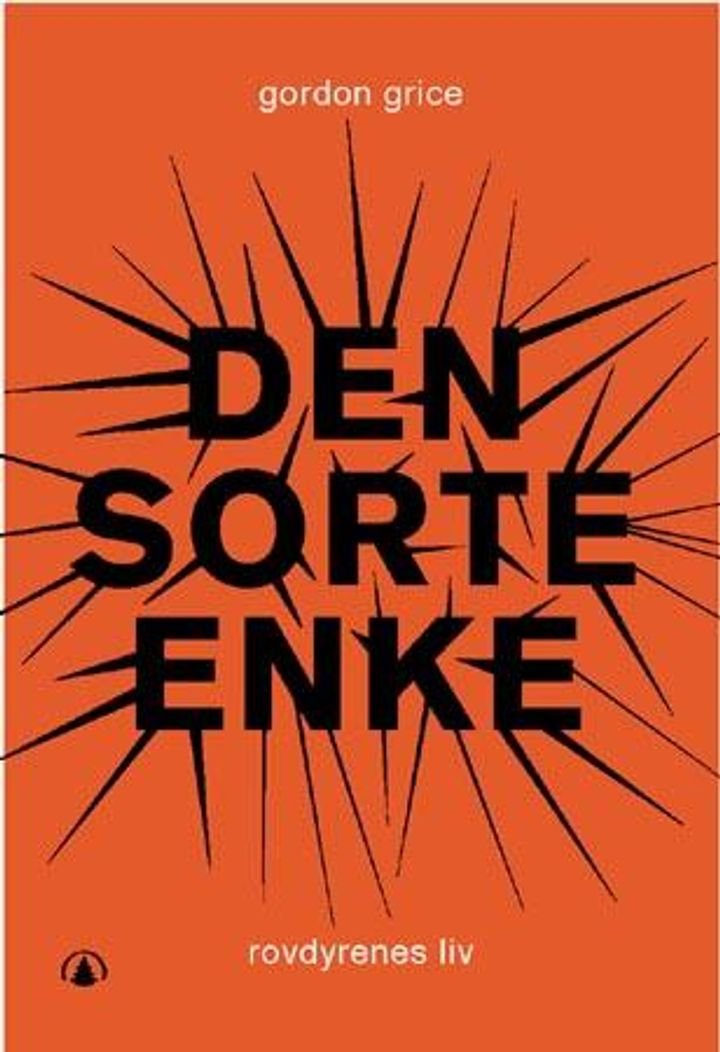 Den sorte enke | Gordon Grice | Ark.no