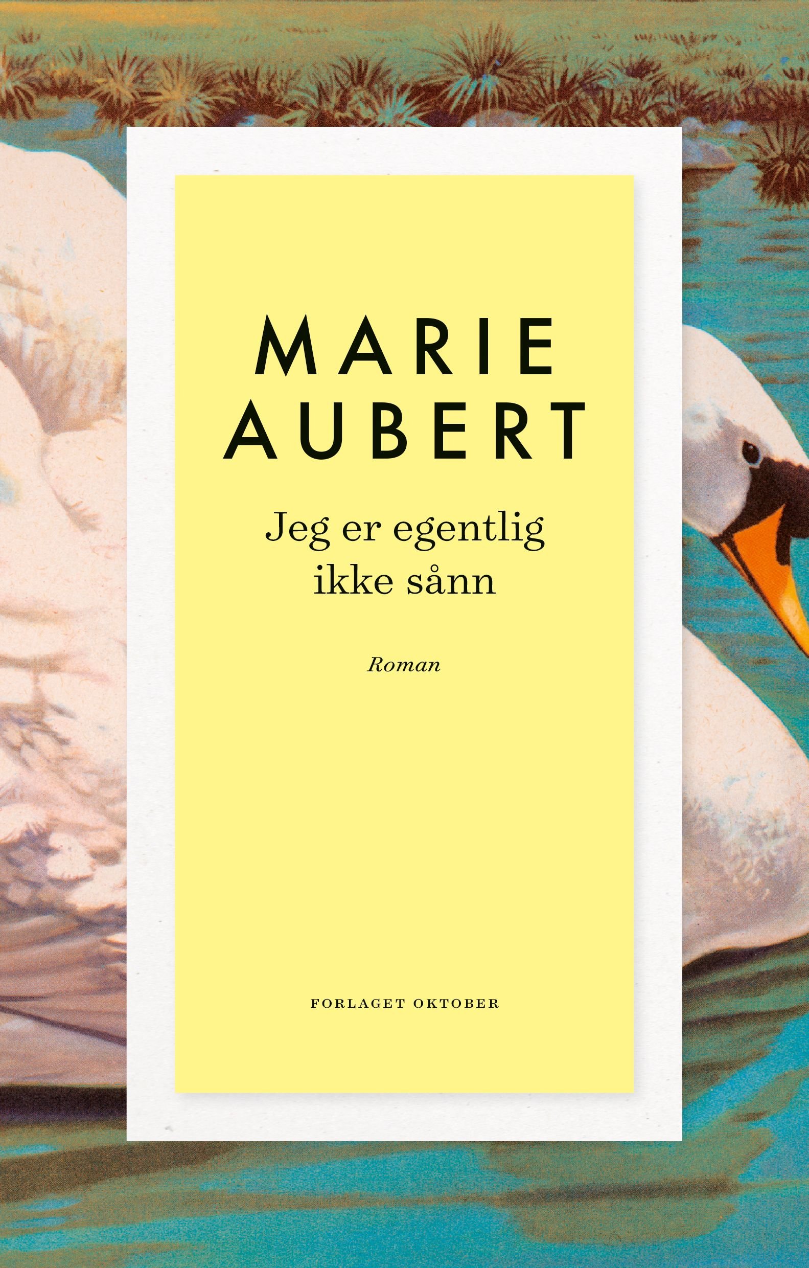 Jeg Er Egentlig Ikke Sånn Roman Ark Bokhandel