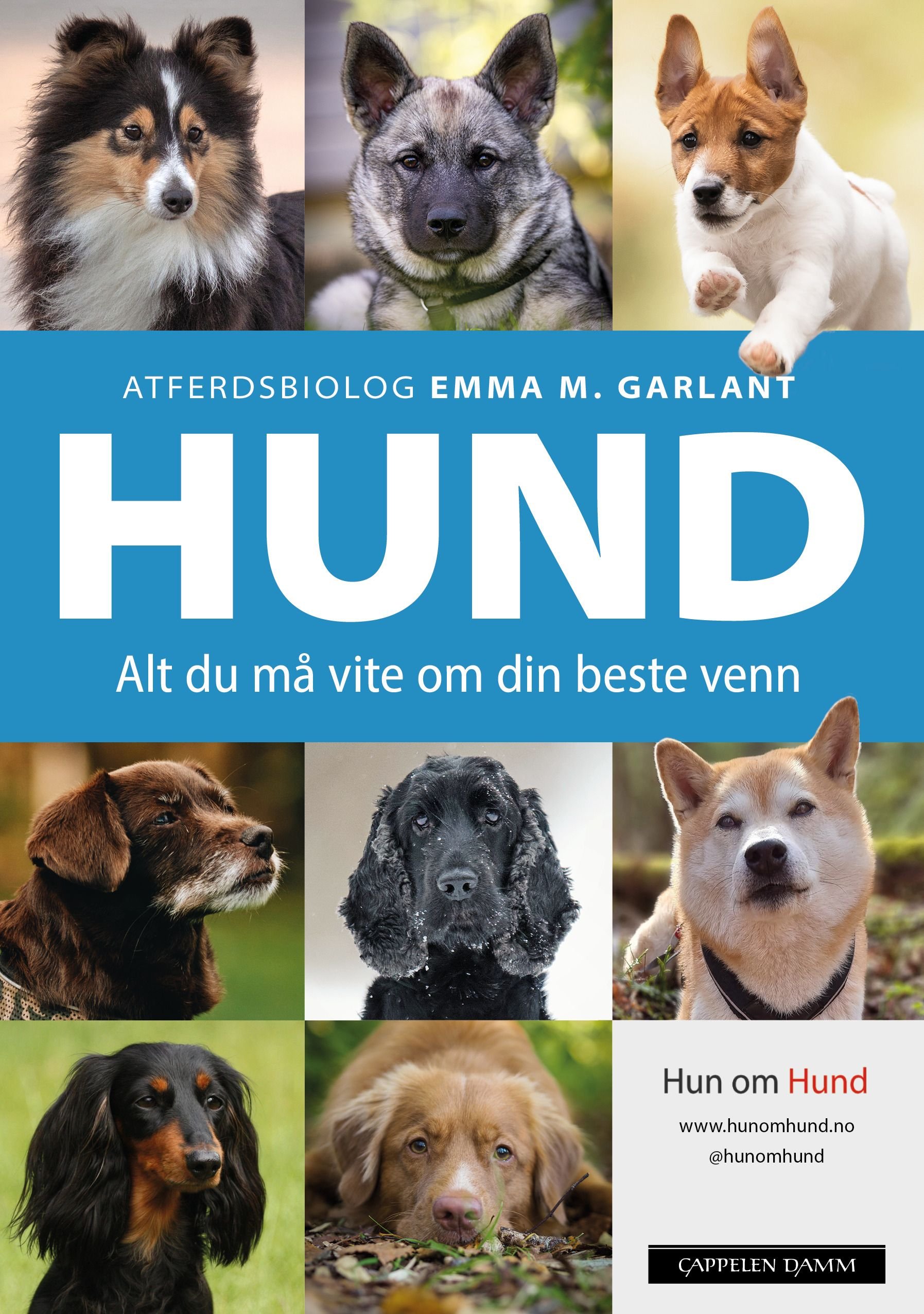 Hund - alt du må vite om din beste venn | ARK Bokhandel