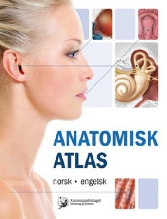 Anatomisk atlas - norsk, engelsk | ARK Bokhandel