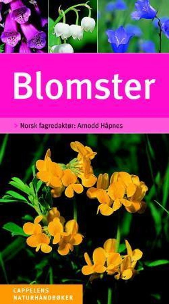 Blomster | Michael Eppinger | Ark.no