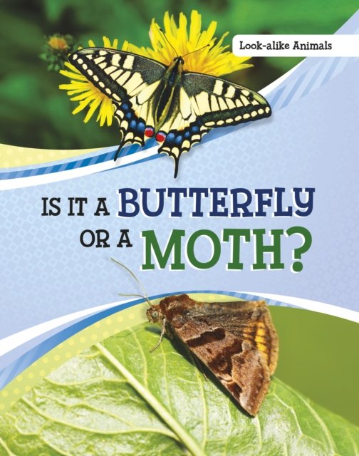 Is It a Butterfly or a Moth? | Susan B. Katz | Ark.no