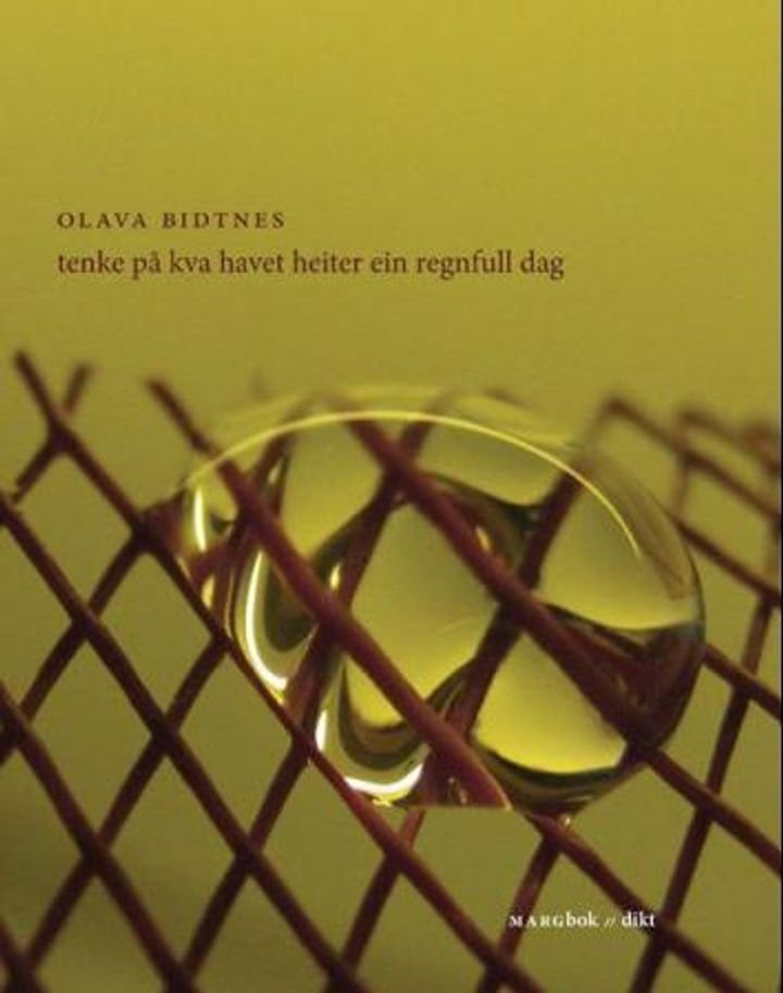 Tenke på kva havet heiter ein regnfull dag | Olava Bidtnes | Ark.no