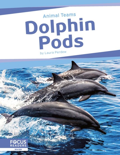 Dolphin Pods | ARK Bokhandel