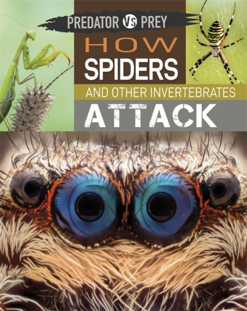 Predator vs Prey: How Spiders and other Invertebrates Attack | ARK ...
