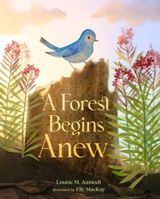 A Forest Begins Anew | Elly MacKay | Ark.no