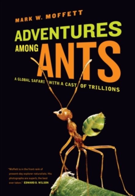 Adventures among Ants - A Global Safari with a Cast of Trillions | ARK ...