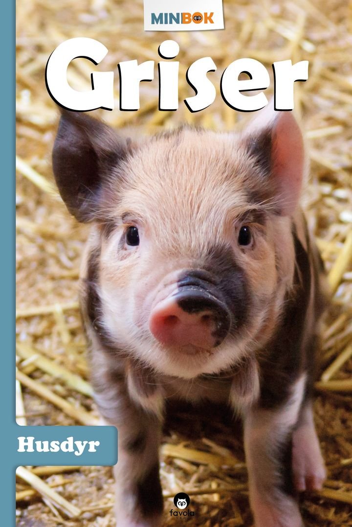 Griser | Kari Hansen | Ark.no