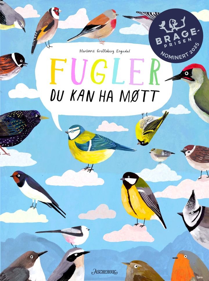 Fugler du kan ha møtt | Marianne Gretteberg Engedal | ARK.no
