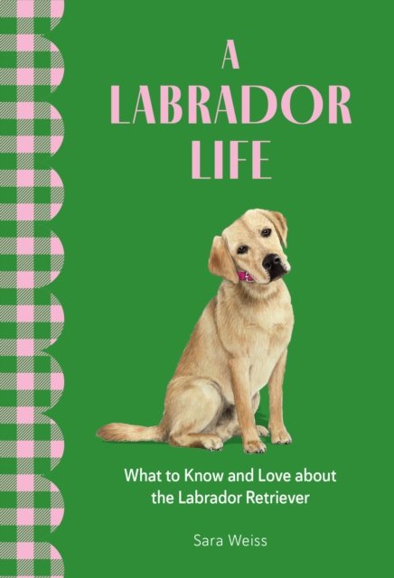 A Labrador Life - What to Know and Love About the Labrador Retriever ...