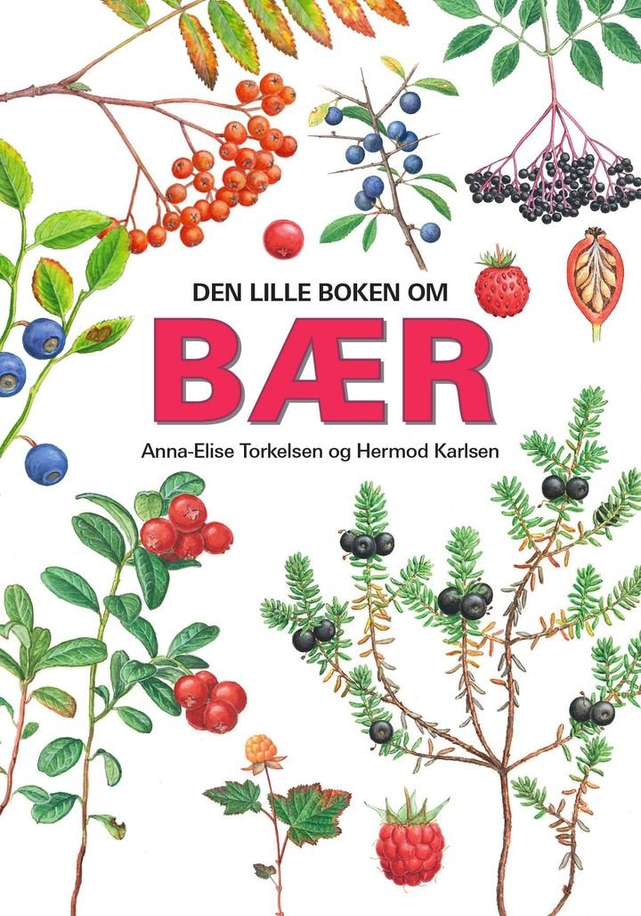 Den lille boken om bær | Anna-Elise Torkelsen | ARK.no