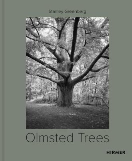 Olmsted Trees (Bilingual edition) | Kevin Baker | Ark.no