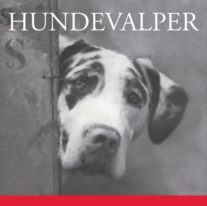 Hundevalper - en fest i bilder | Ark.no | Ark.no