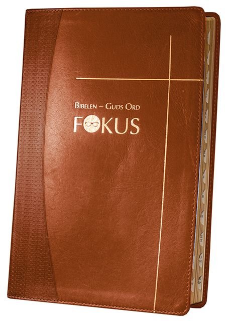 Bibelen - Guds ord fokus - studiebibel | ARK Bokhandel