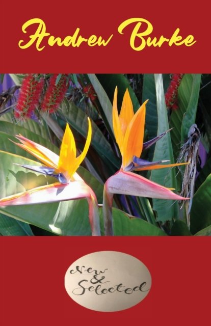 Andrew Burke New and Selected 2020 | Andrew Burke | Ark.no