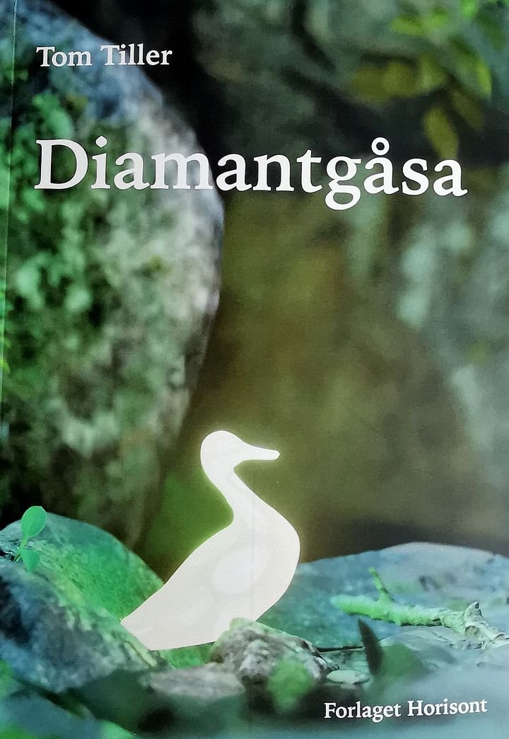 Diamantgåsa | Tom Tiller | Ark.no