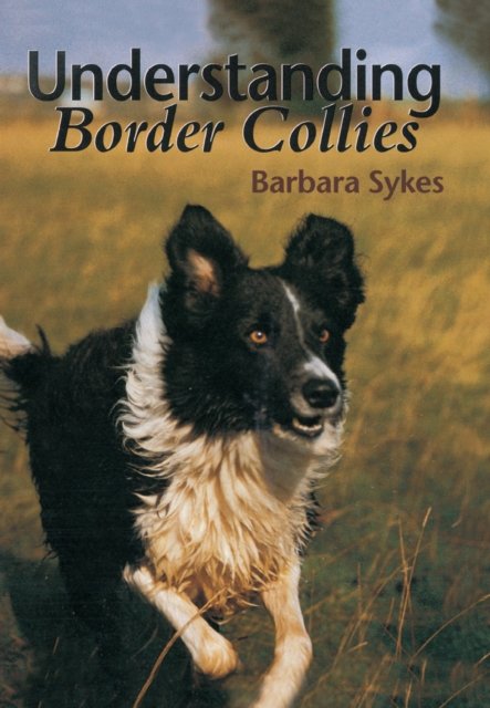 Understanding Border Collies | ARK Bokhandel