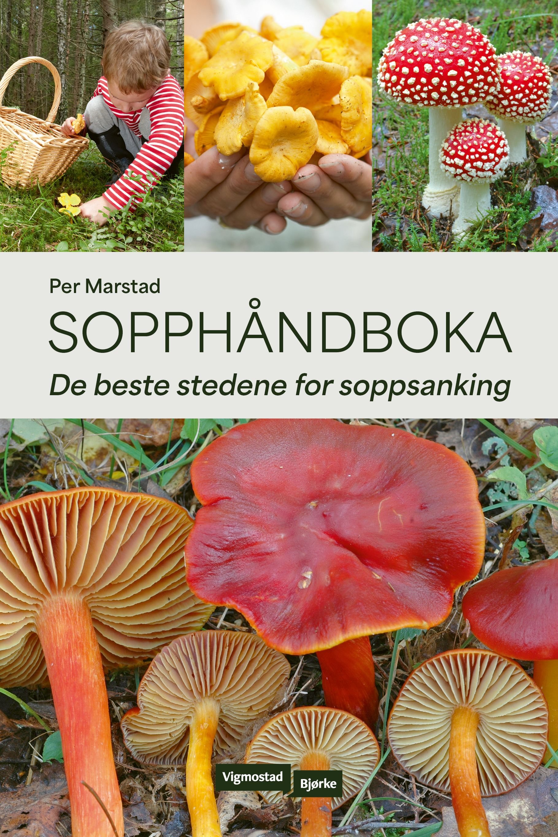 Sopphåndboka | Per Marstad | Ark.no