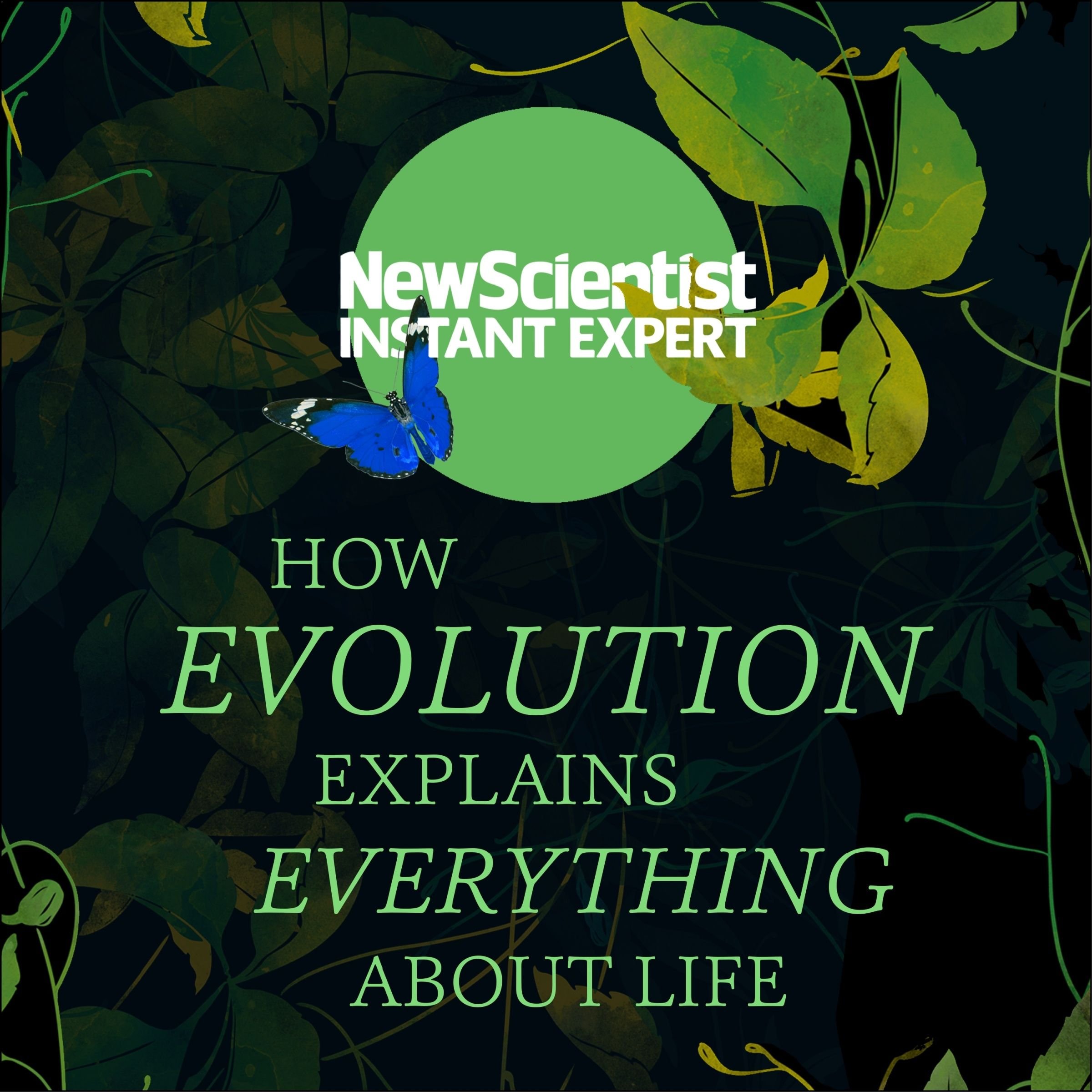 How Evolution Explains Everything About Life | New Scientist | Ark.no