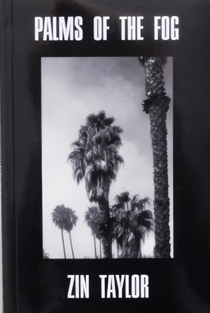 Palms of the Fog | Ark.no