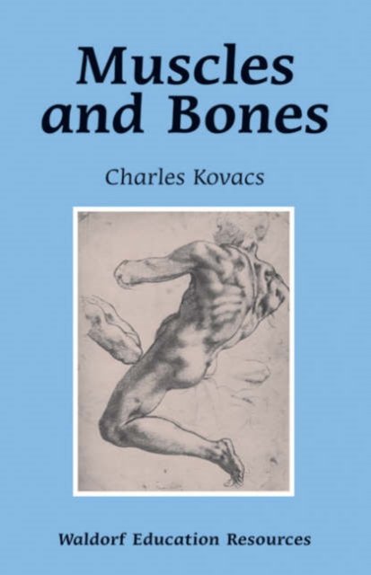 Muscles and Bones | ARK Bokhandel