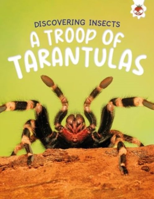 Discovering Insects: A Troop of Tarantulas | ARK Bokhandel