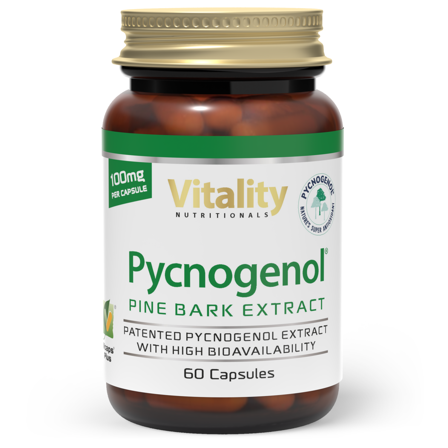 Tilaa Pycnogenol Kapselit | Pycnogenol 100mg
